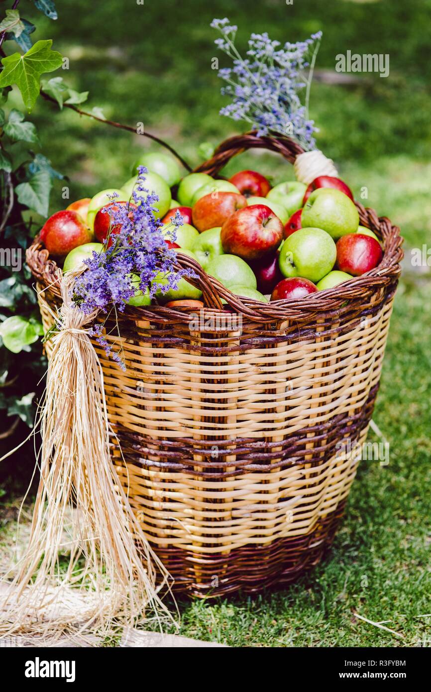 Natural motifs hi-res stock photography and images - Alamy