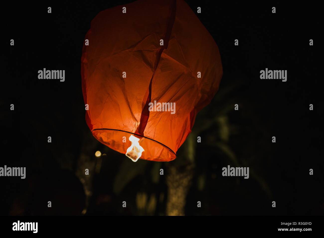 Thai lanterns thrown into the air at night Stock Photo - Alamy