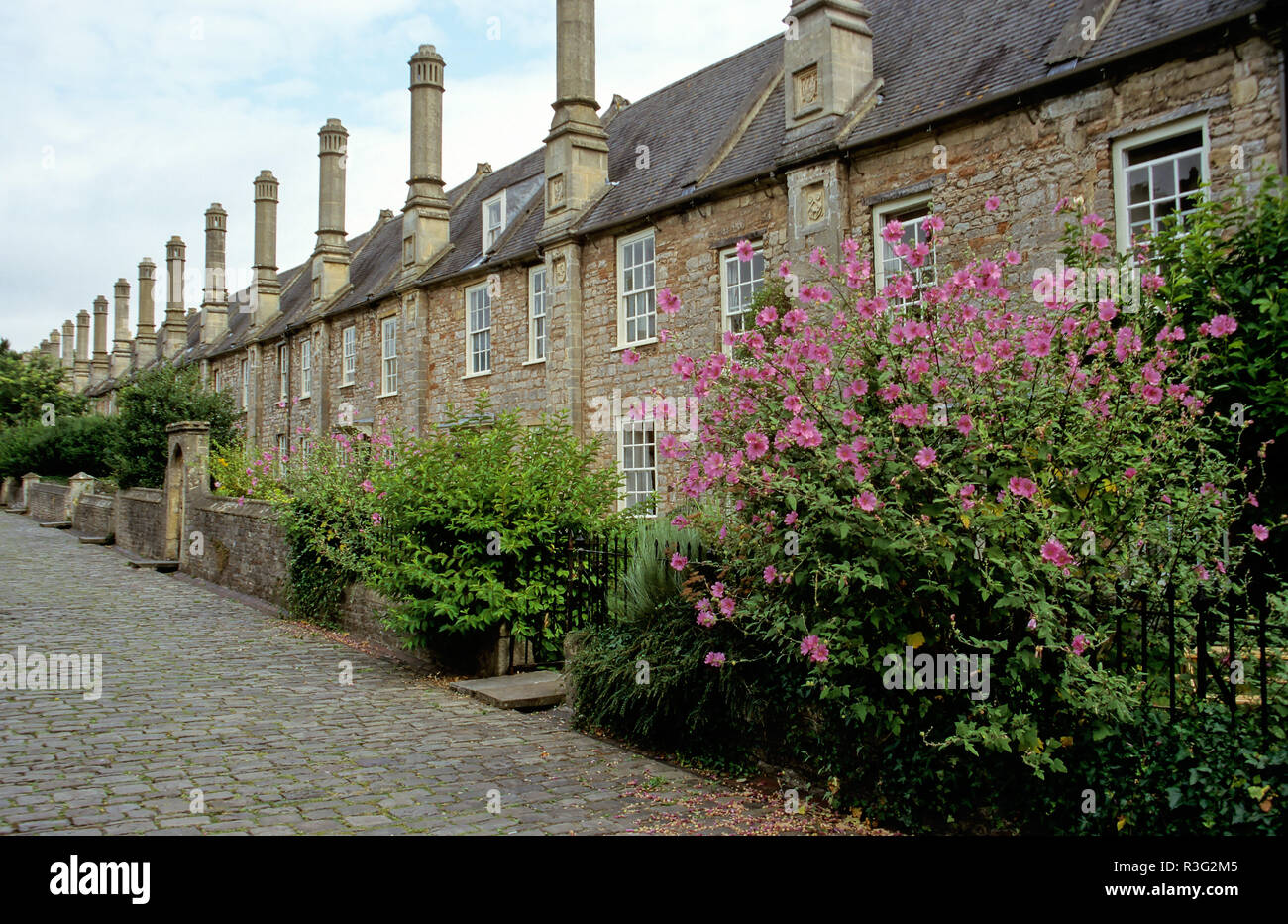 Bourgeoisie england hi-res stock photography and images - Alamy