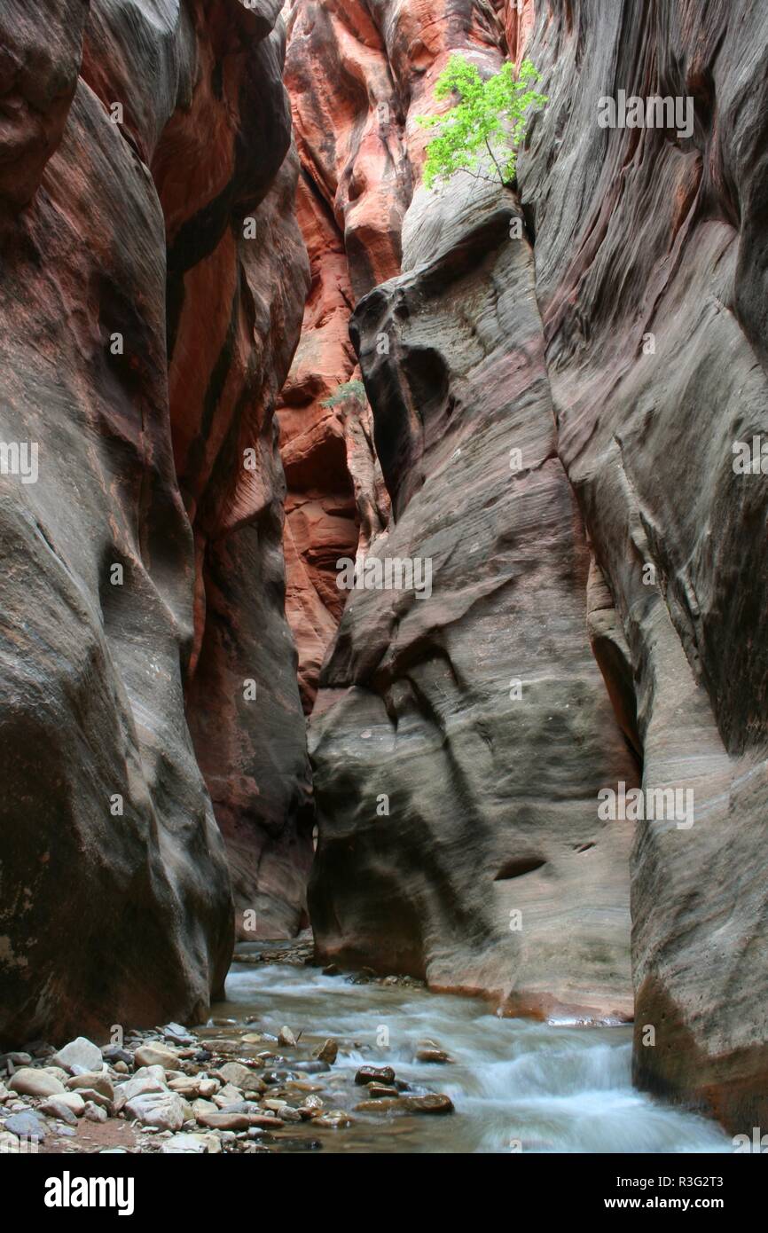 Niesche hi-res stock photography and images - Alamy