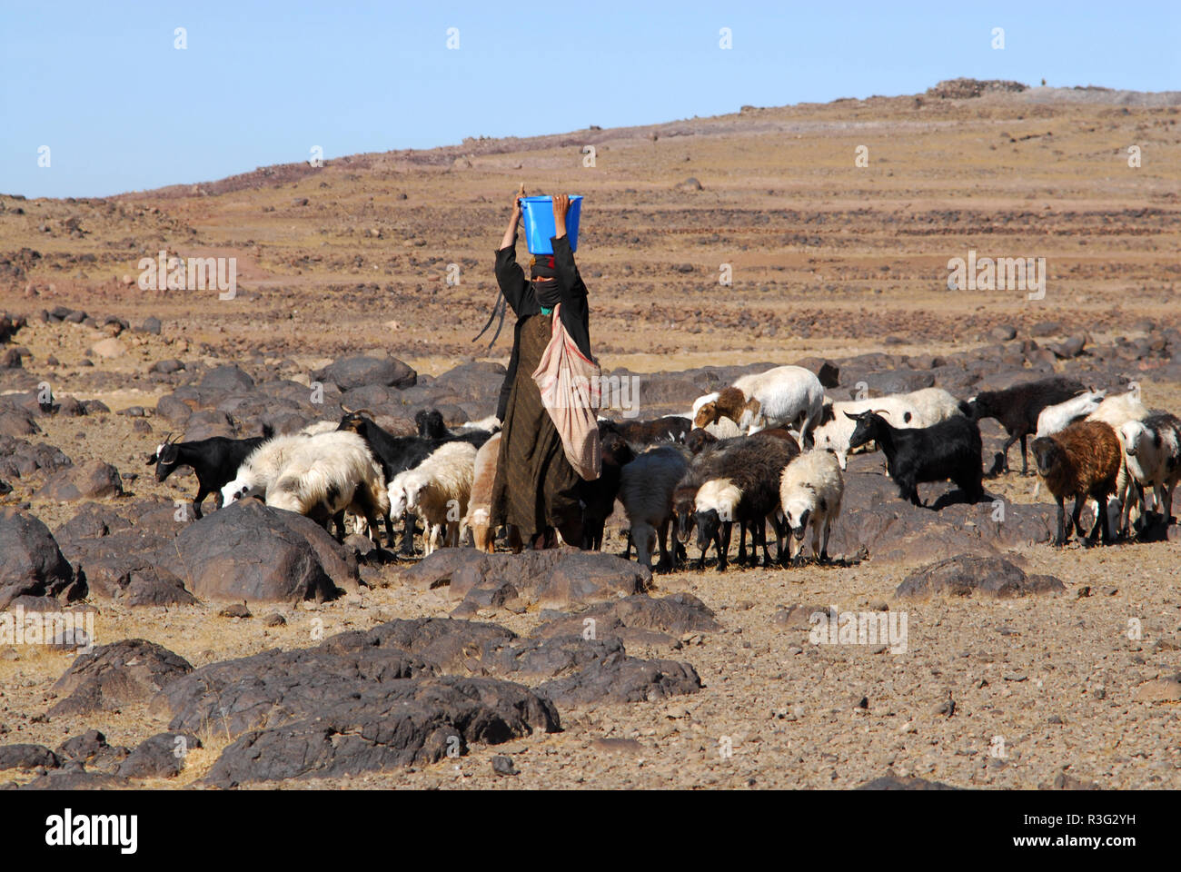 Yemen water drought hi-res stock photography and images - Alamy