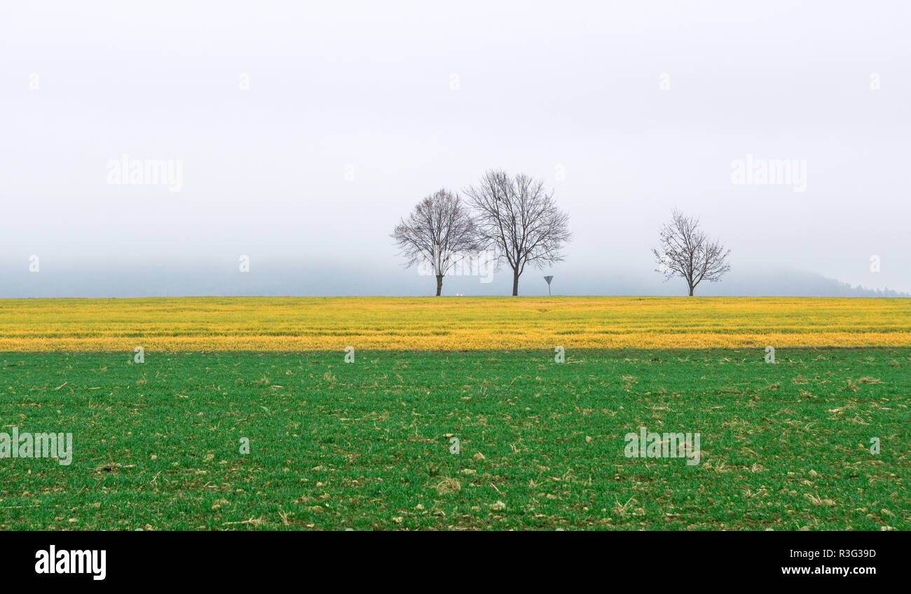 November gray hi-res stock photography and images - Alamy