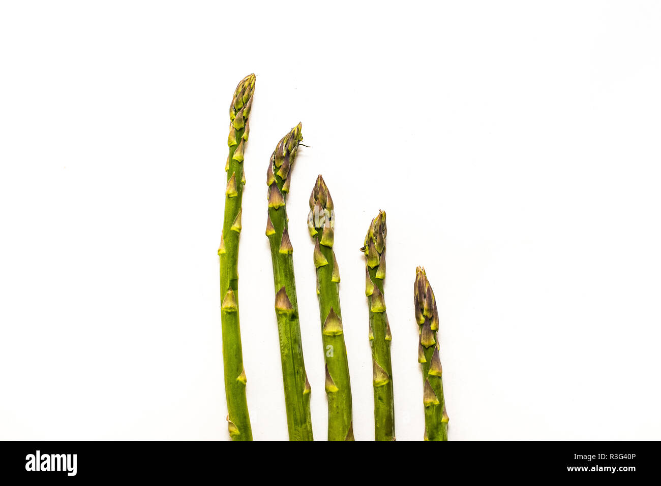 Green asparagus of different sizes sorted on white background Stock ...