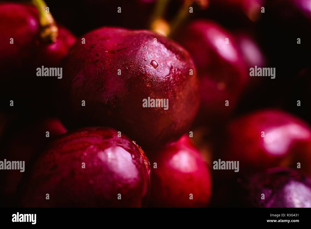 Closeup fresh round sweet red cherries Stock Photo - Alamy