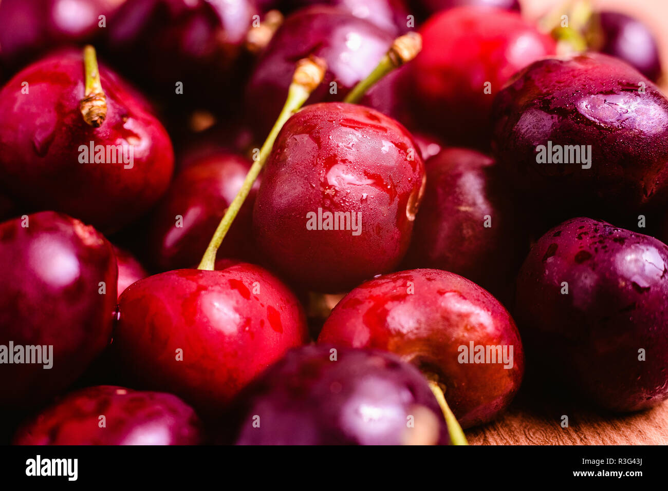 Closeup round sweet red cherries, Summertime Stock Photo - Alamy