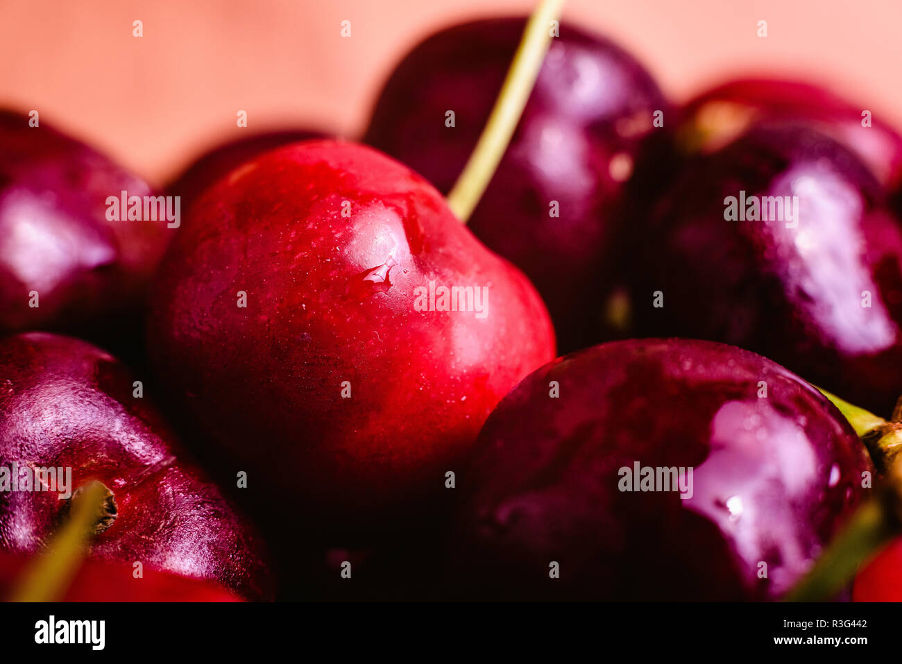 Closeup round sweet red cherries, Summertime Stock Photo - Alamy