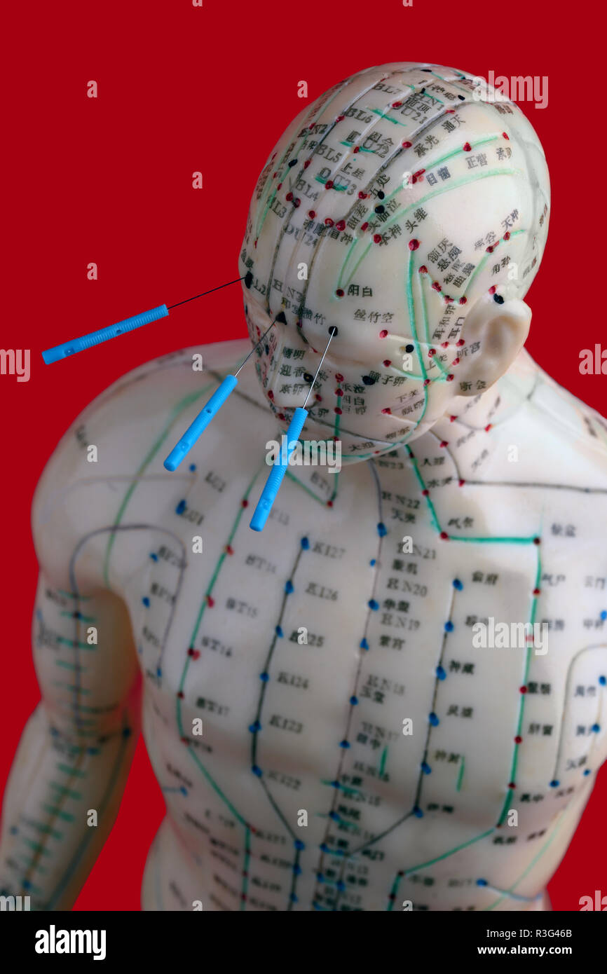 Acupuncture Model with needles isolated on red background Stock Photo ...
