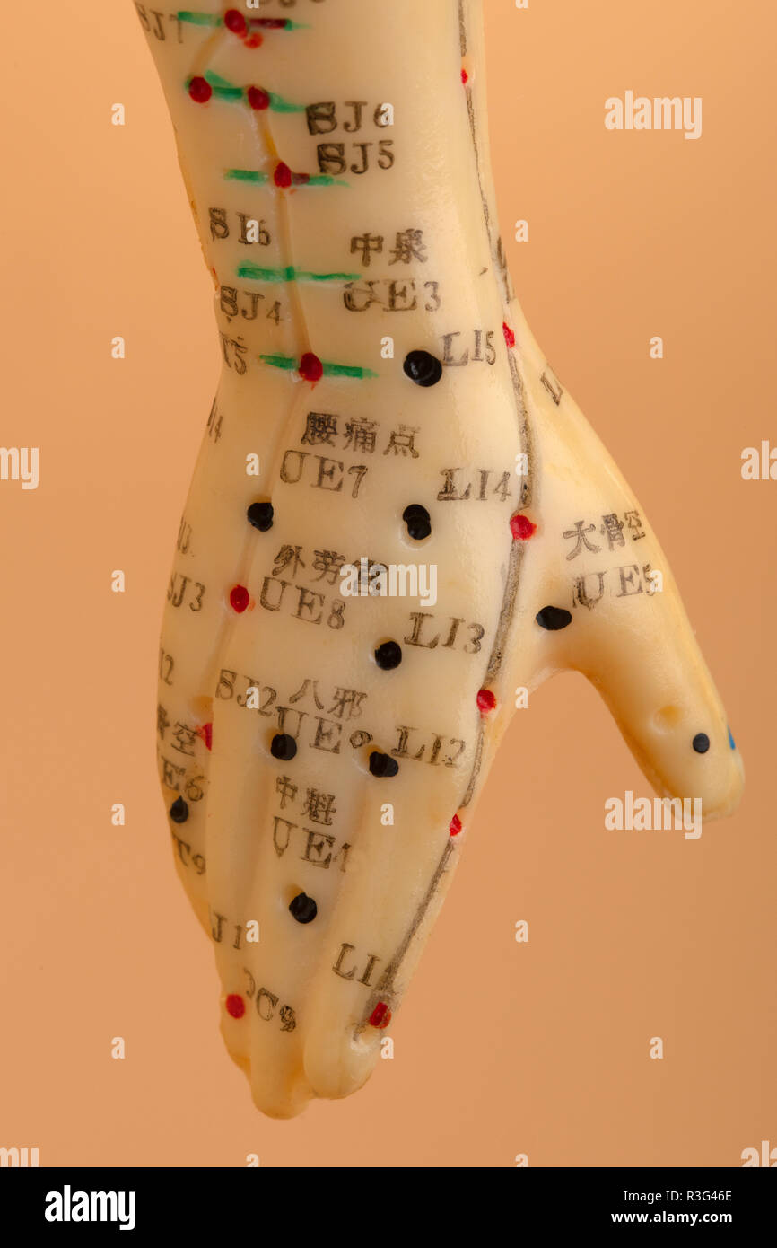 Acupuncture Model Hand isolated on beige background Stock Photo - Alamy