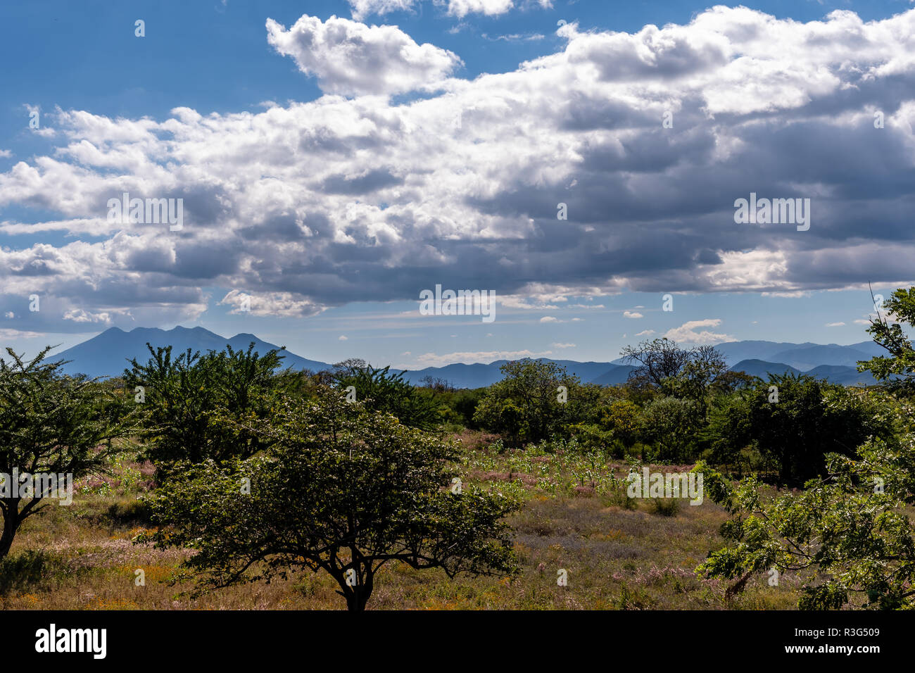 Guatemala Grass High Resolution Stock Photography and Images - Alamy
