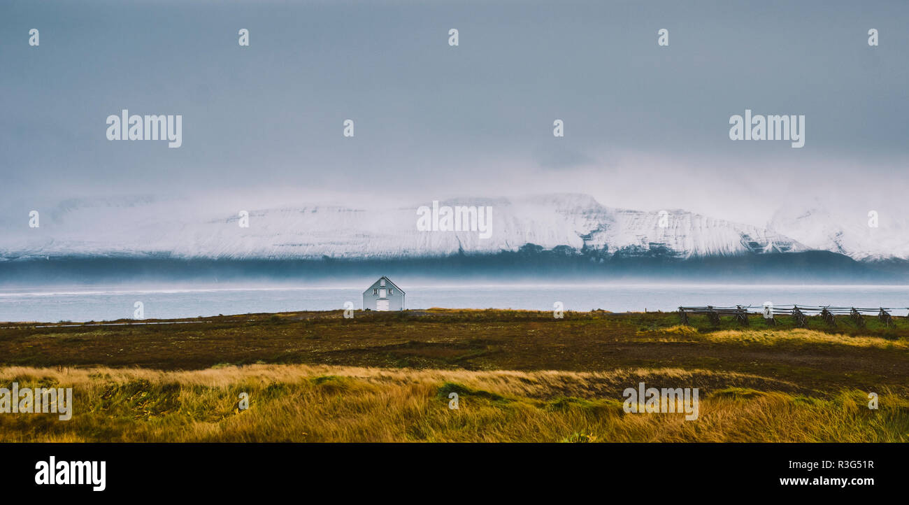 Icelandic landscapes full of green grass, sea and blue sky Stock Photo ...