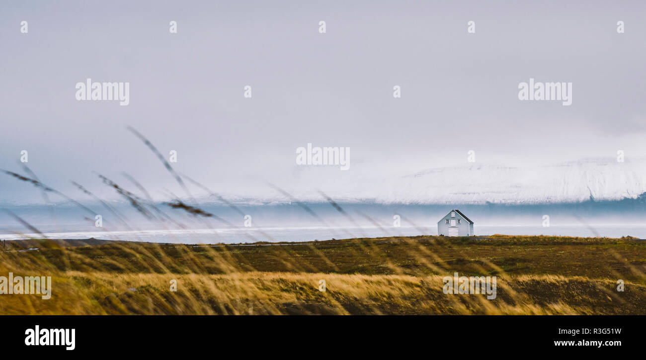 Icelandic landscapes full of green grass, sea and blue sky Stock Photo ...