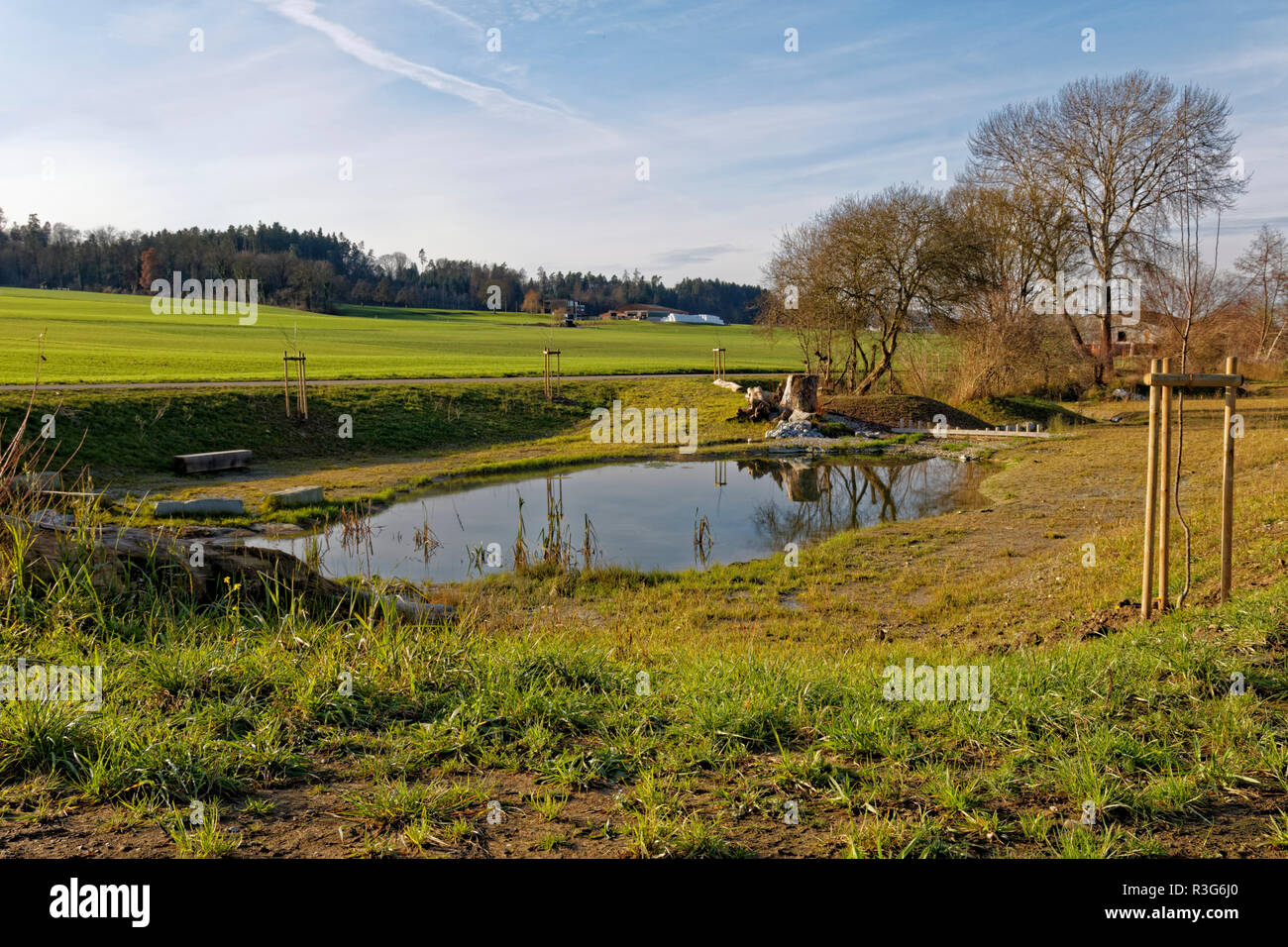 pond in countryside Stock Photo - Alamy