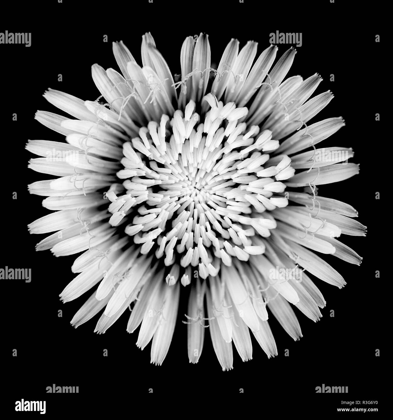 Prosperities hi-res stock photography and images - Alamy