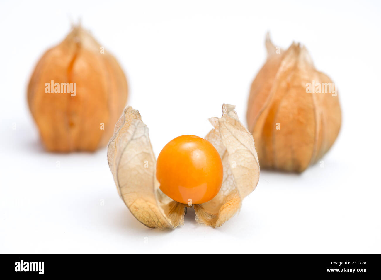cape gooseberry (physalis Stock Photo - Alamy