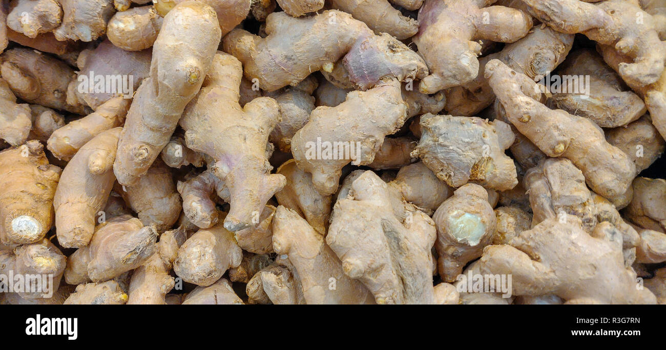 Fresh ginger root sale in hi-res stock photography and images - Alamy