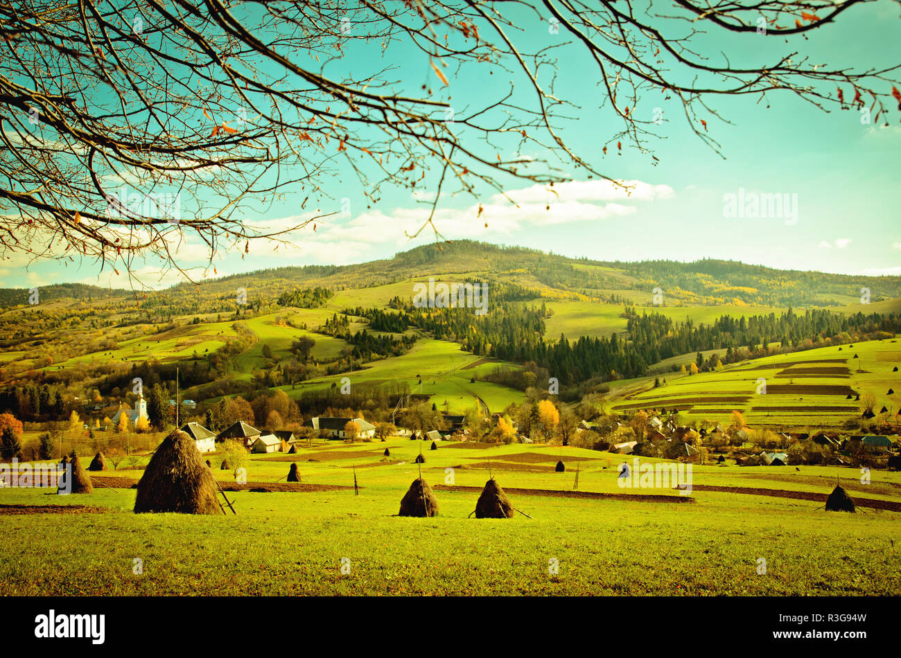 beautiful valley in a mountain Stock Photo - Alamy