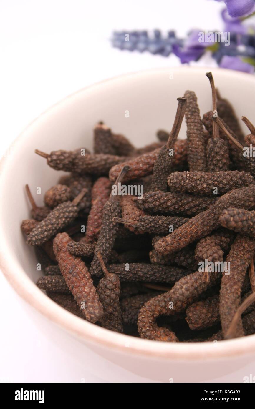 Langer Pfeffer High Resolution Stock Photography and Images - Alamy