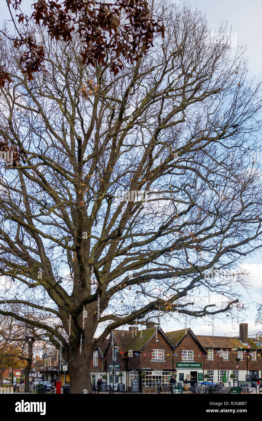 CRAWLEY, WEST SUSSEX/UK - NOVEMBER 21 : View of an old pub by a huge ...