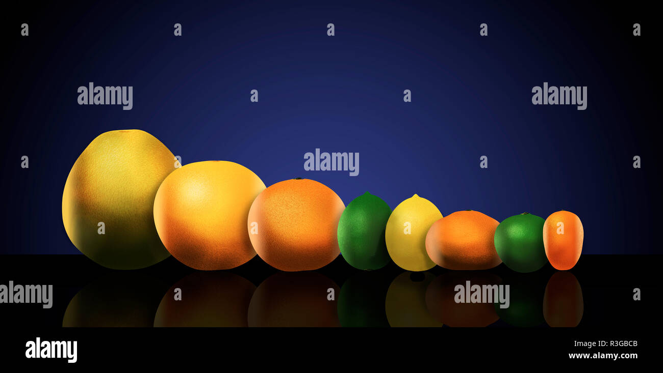 Eight popular citrus fruits are pictured left to right: pomelo ...