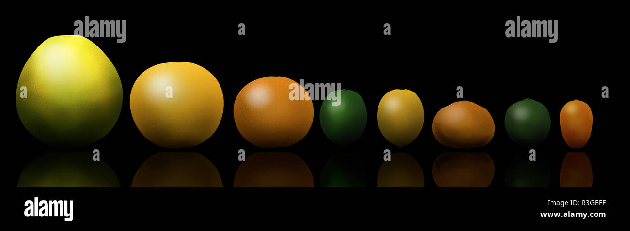 Eight popular citrus fruits are pictured left to right: pomelo ...