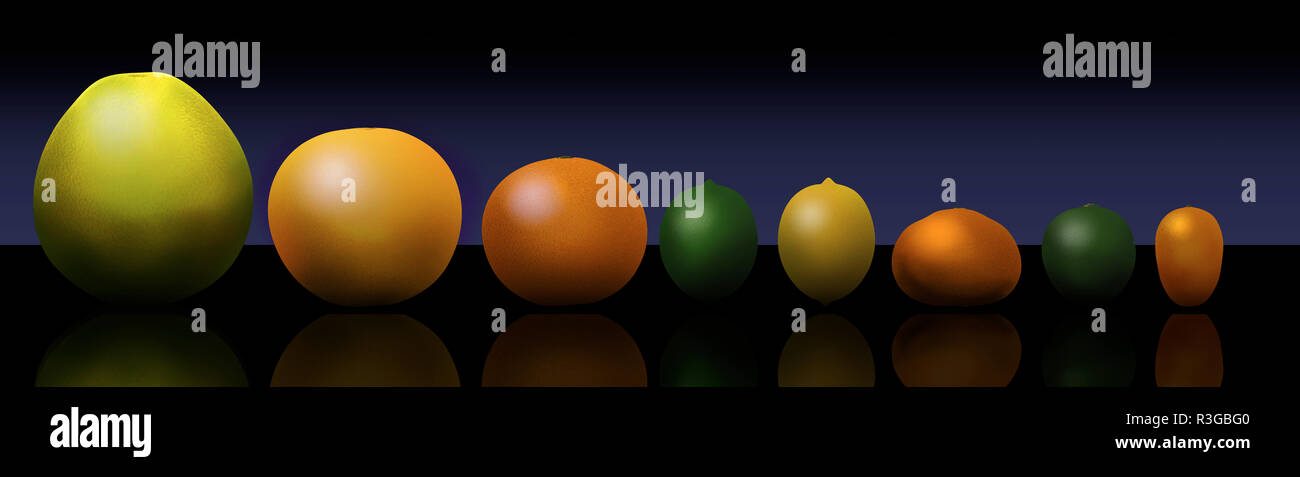 Eight popular citrus fruits are pictured left to right: pomelo ...