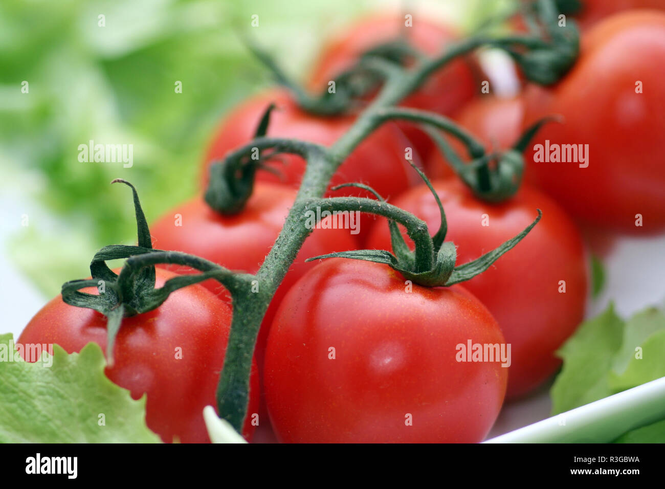 Rispentomaten hi-res stock photography and images - Alamy