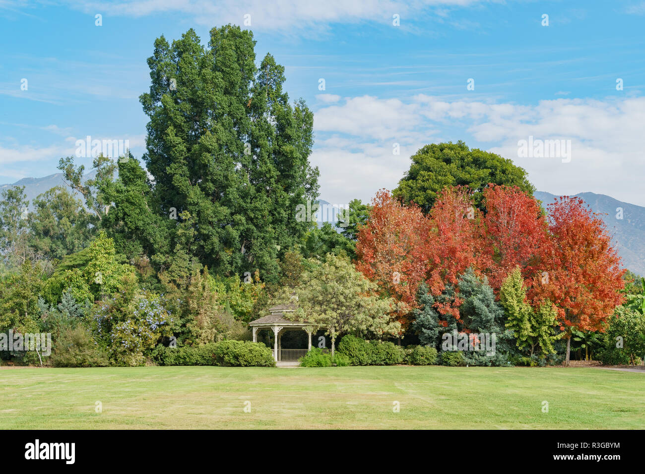 Beautiful afternoon nature scene at Los Angeles County Arboretum ...