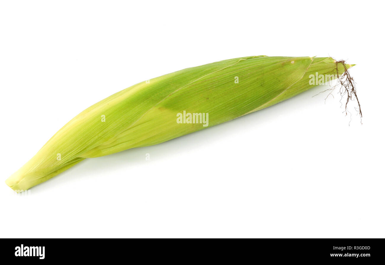 maize / corn Stock Photo - Alamy