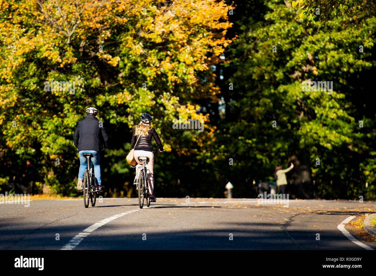 A couple are riding bicycles in the beautiful and colorful Central Park ...