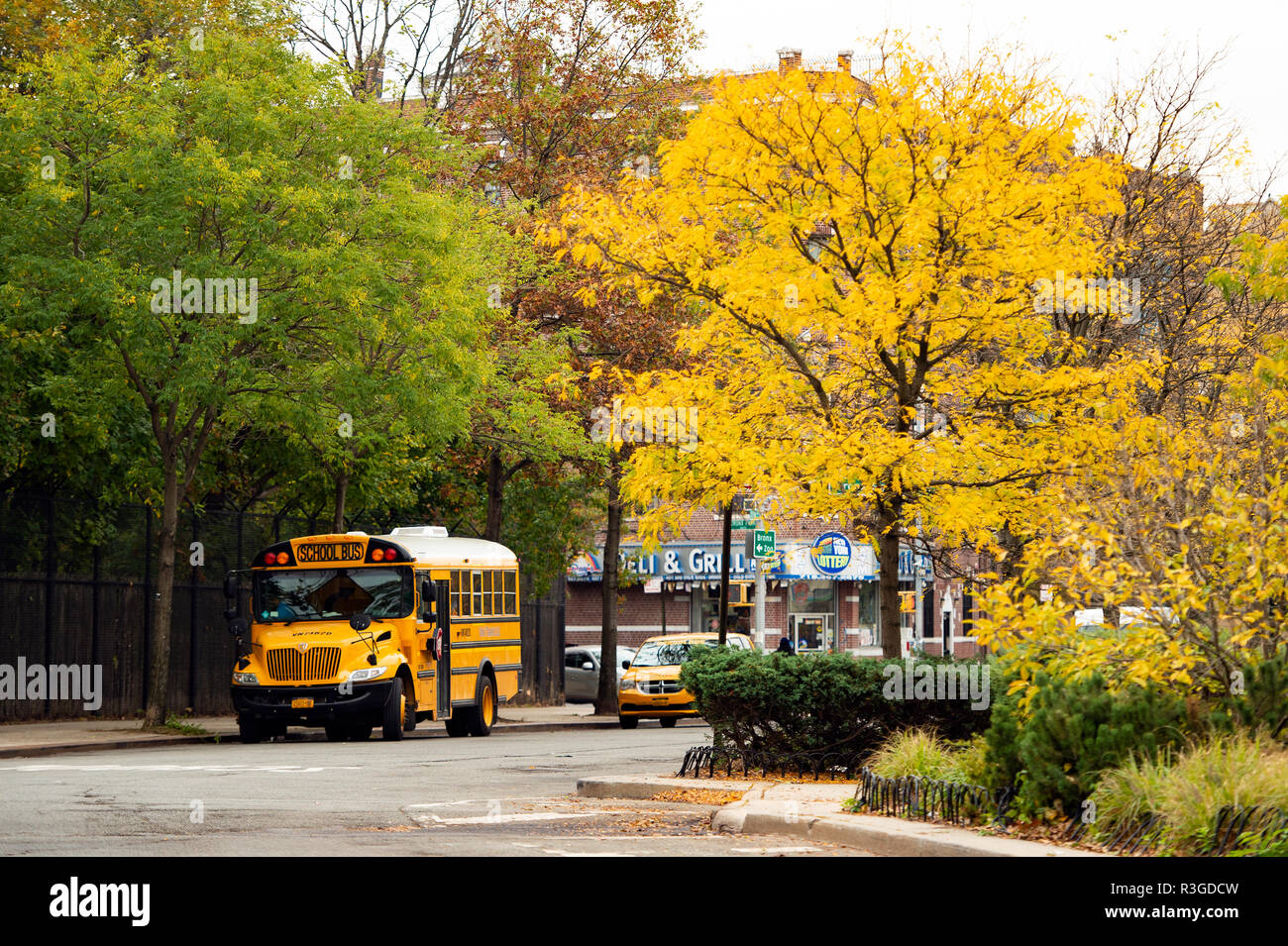 School bus park hi-res stock photography and images - Alamy