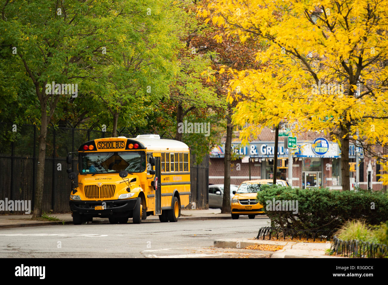 A school bus on the streets of the Bronx Stock Photo - Alamy