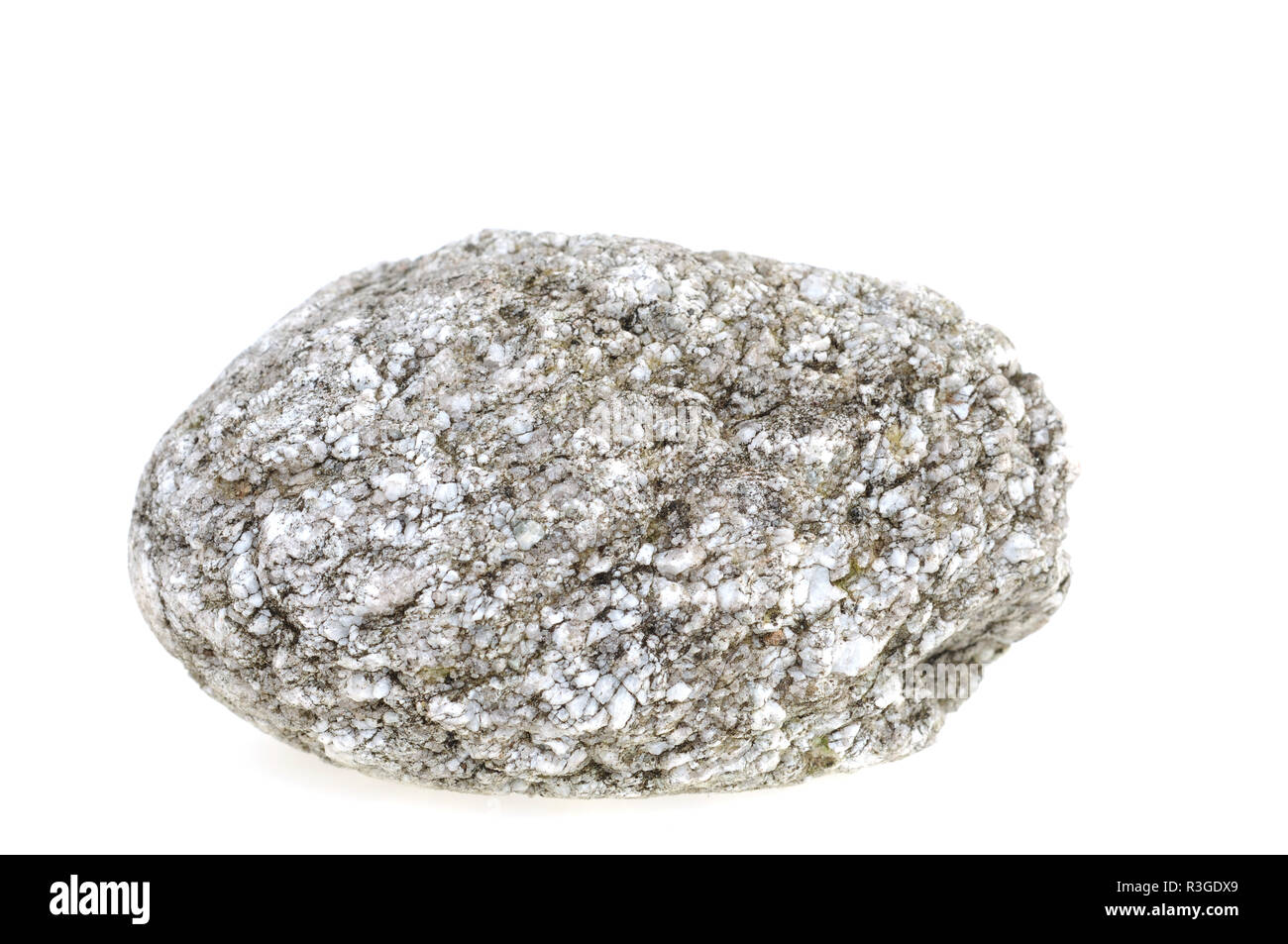 Rock moss Cut Out Stock Images & Pictures - Alamy