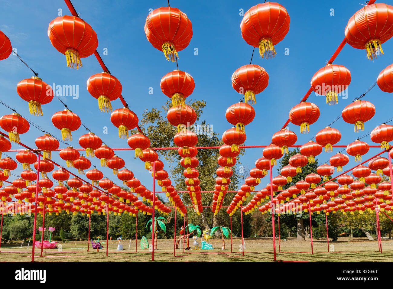 Los Angeles, NOV 17: Morning view of the colorful lantern of Moonlight ...