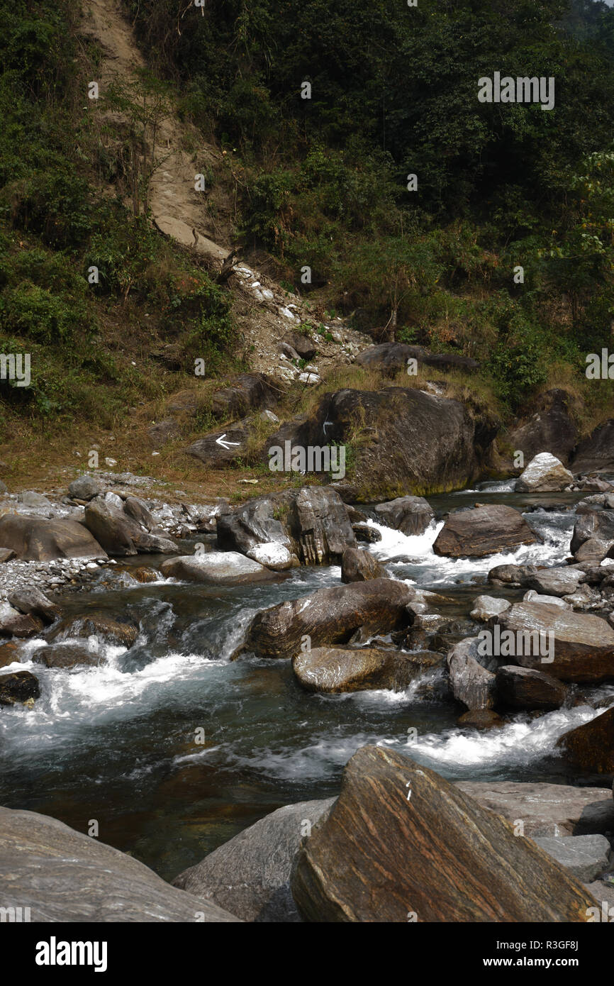 Darjeeling Waterfall High Resolution Stock Photography and Images - Alamy