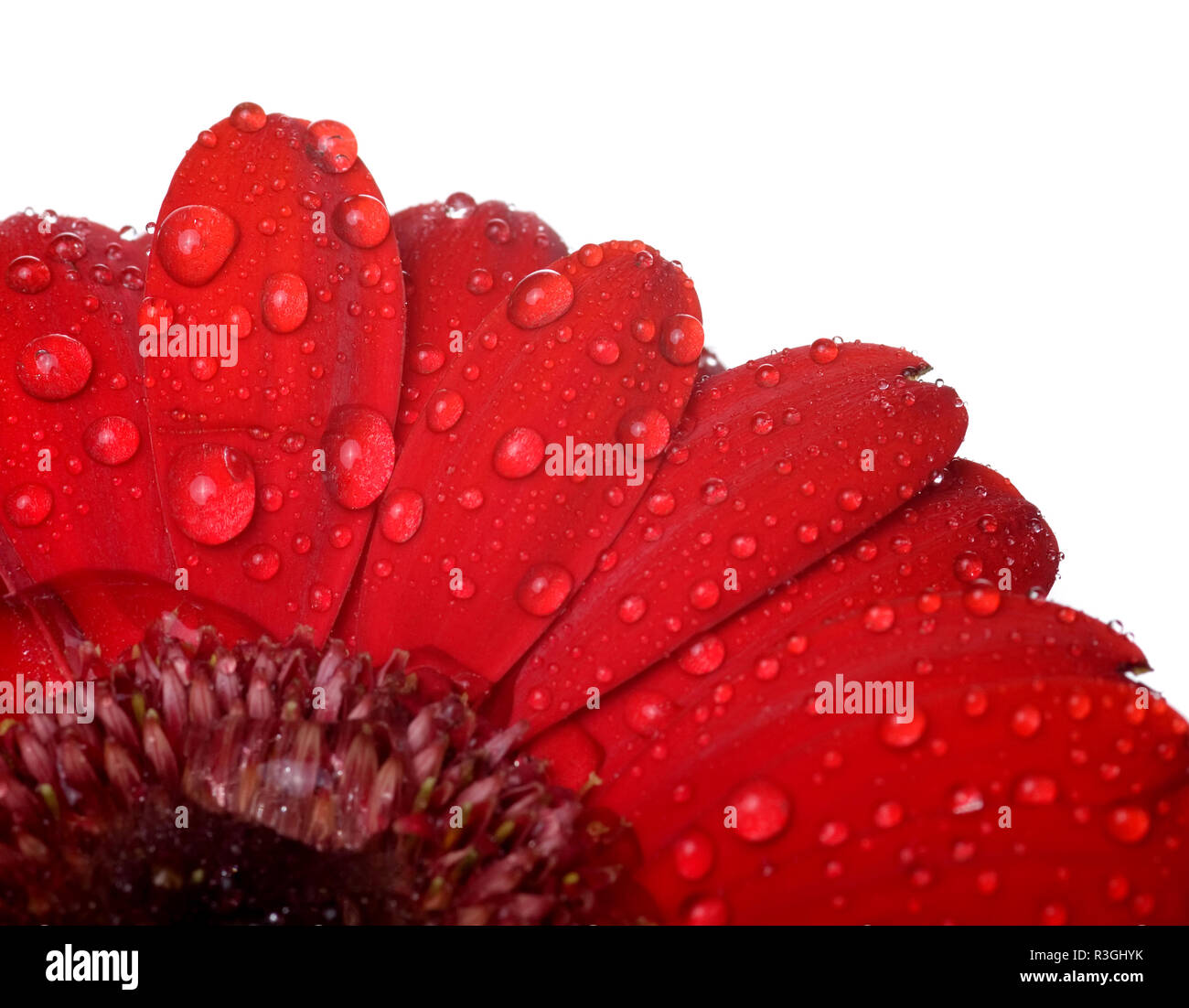 Regenfa llen hi-res stock photography and images - Alamy