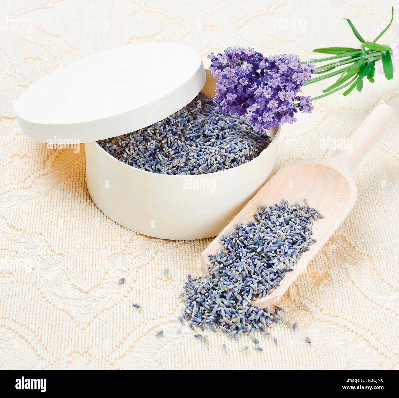 Real levander hi-res stock photography and images - Alamy