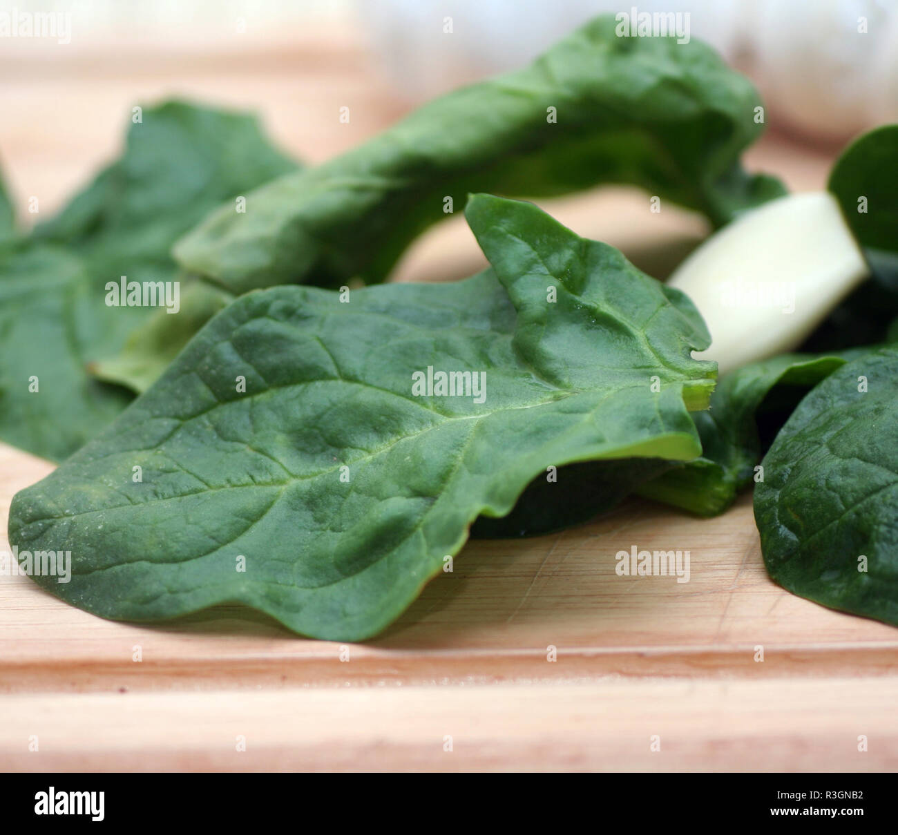 Blattspinat hi-res stock photography and images - Alamy