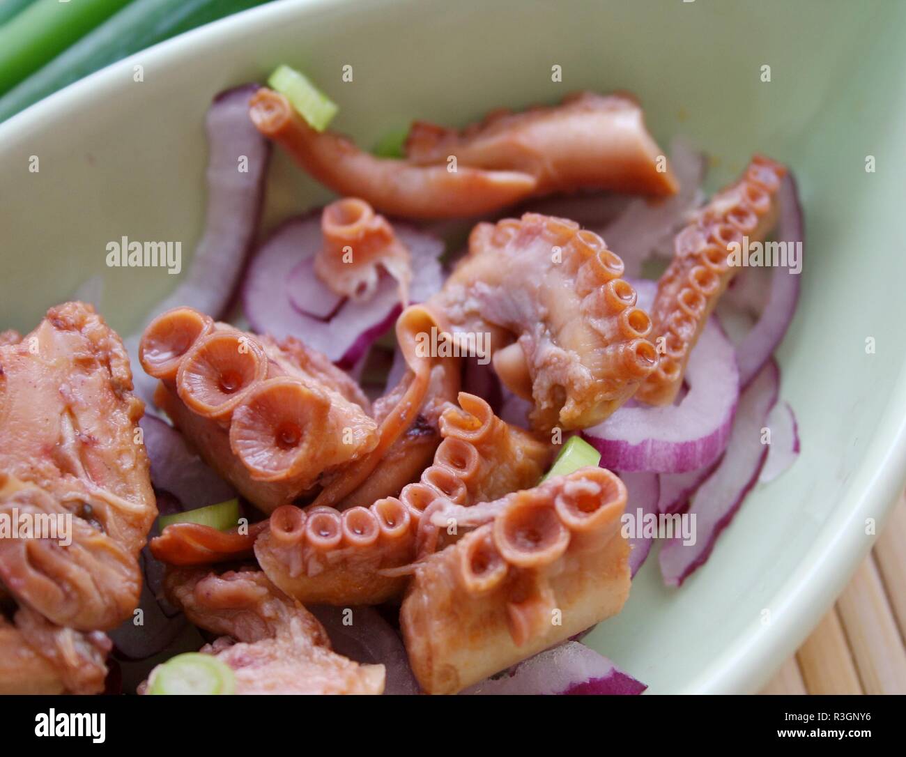 Saugnapf hi-res stock photography and images - Alamy