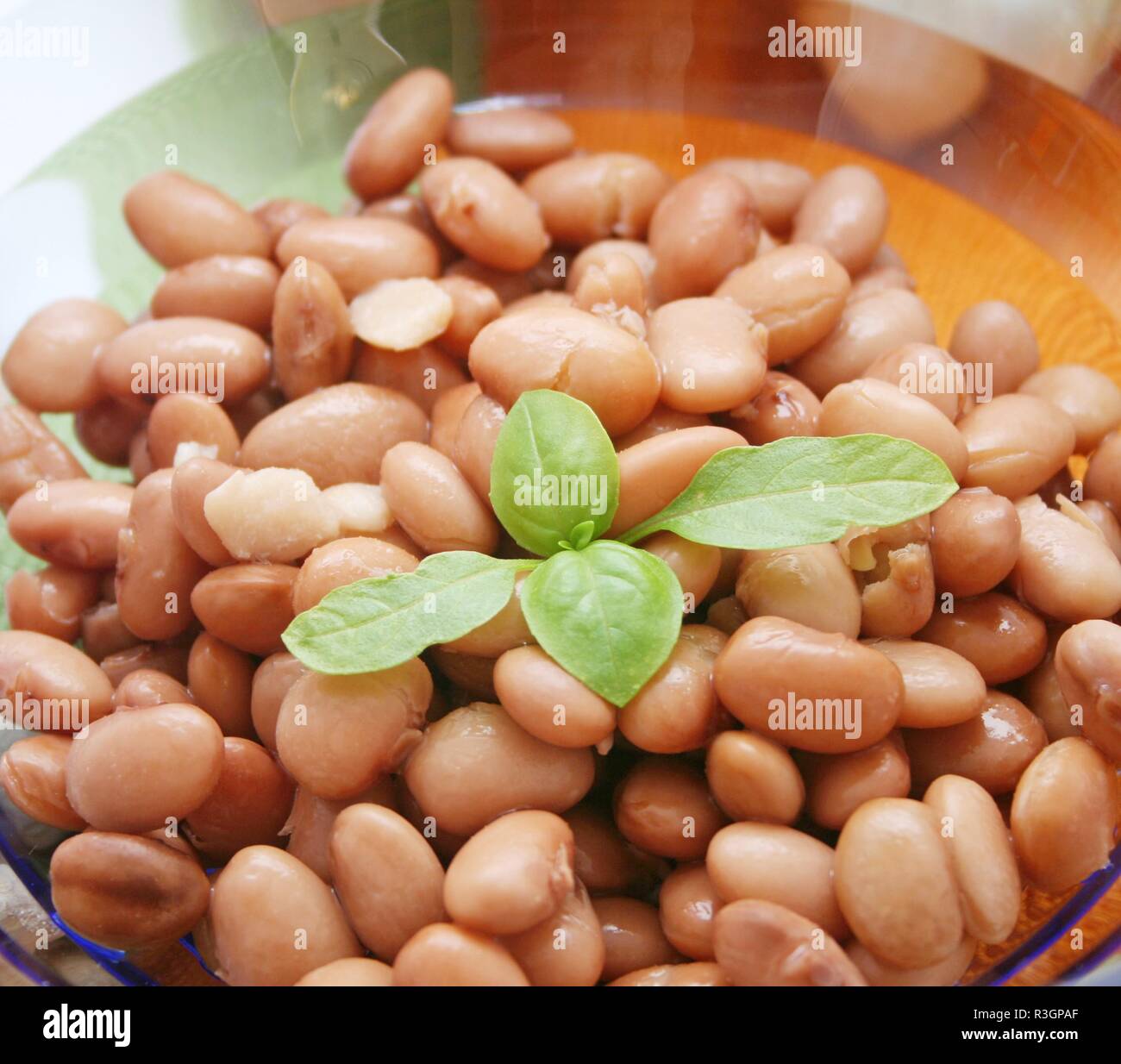 Quail beans hi-res stock photography and images - Alamy