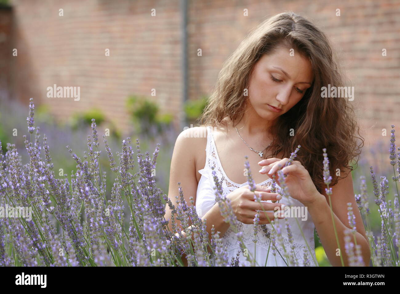 Lavender woman wall garden hi-res stock photography and images - Alamy