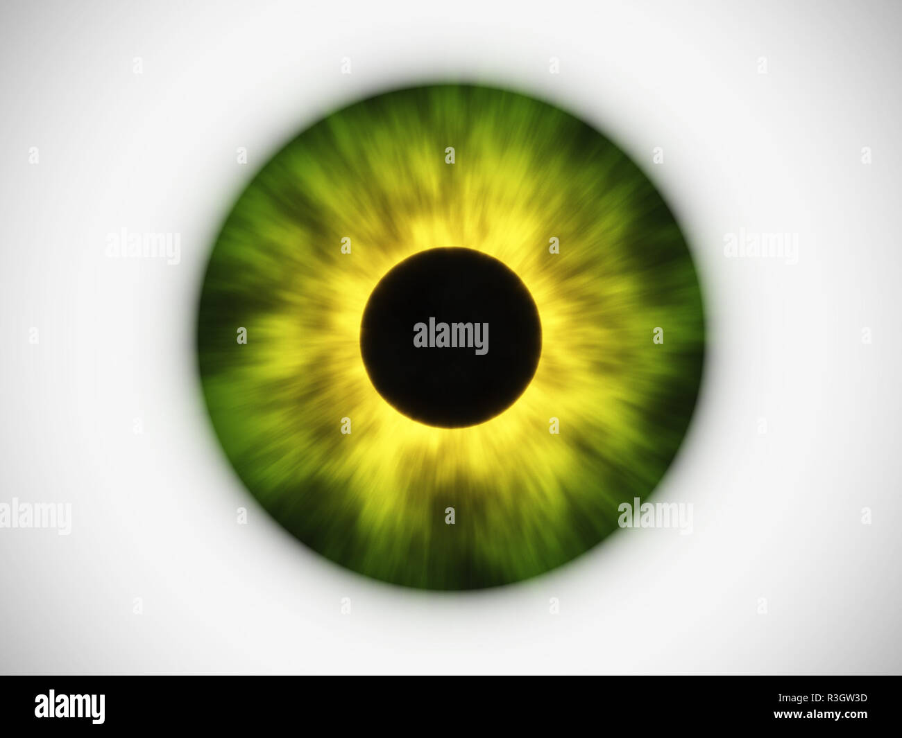 Circle eye hi-res stock photography and images - Alamy