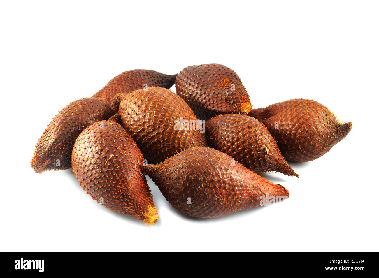 salak fruits isolated / ripe of salak tropical fruit of snake isolated ...