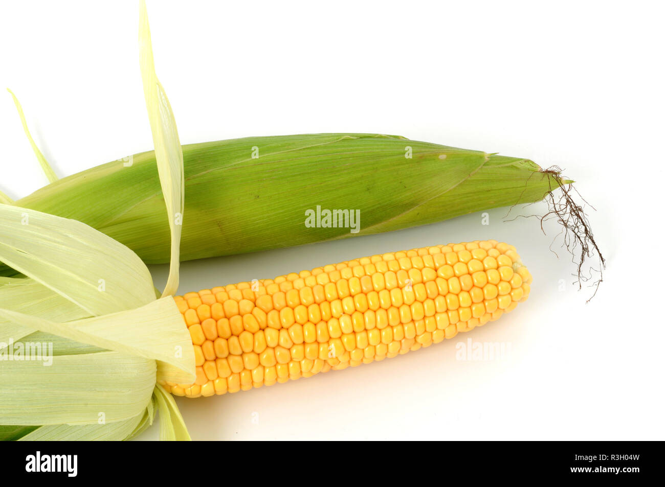 corn / corn Stock Photo - Alamy
