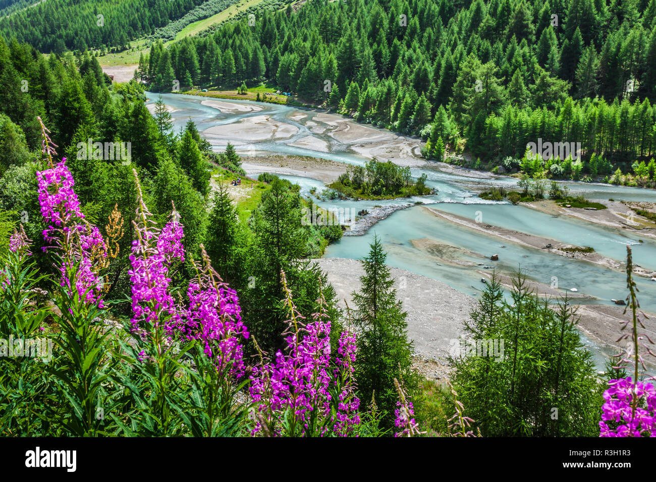 swiss alps-river inn and pontresina Stock Photo - Alamy