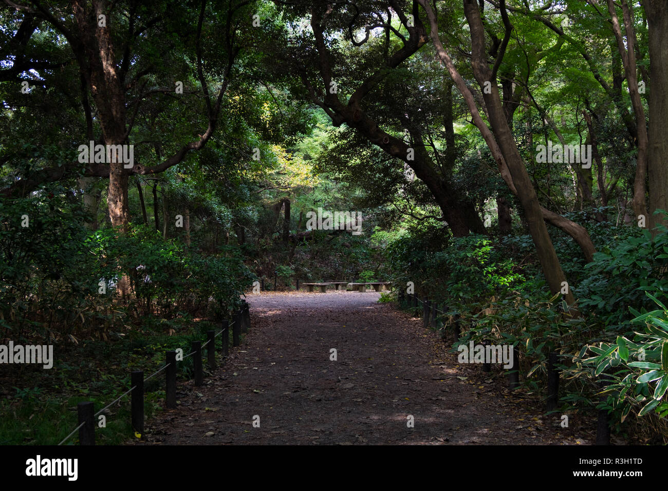 A visit to the Institute For Nature Study in Tokyo, Japan. It is an ...