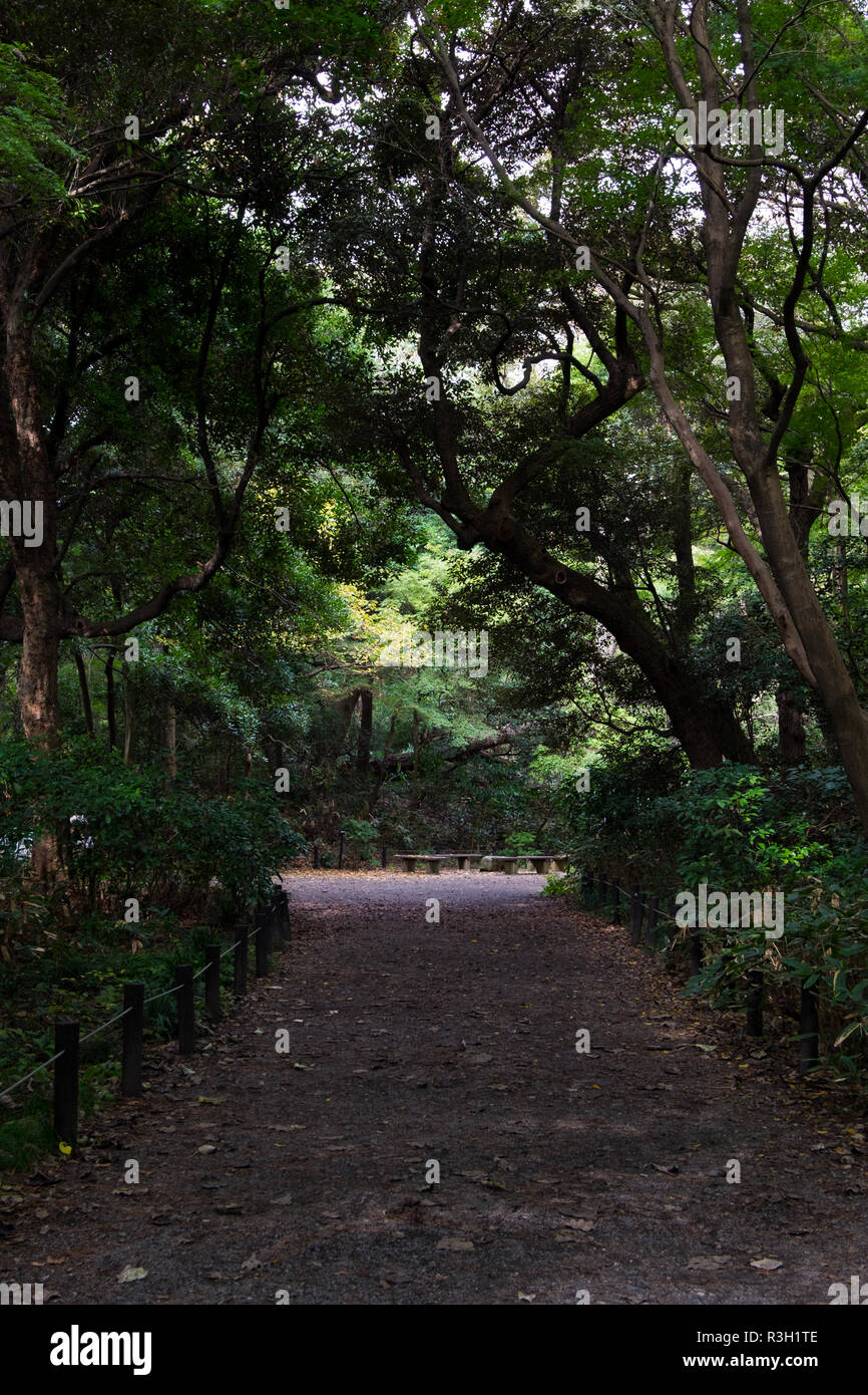 A visit to the Institute For Nature Study in Tokyo, Japan. It is an ...