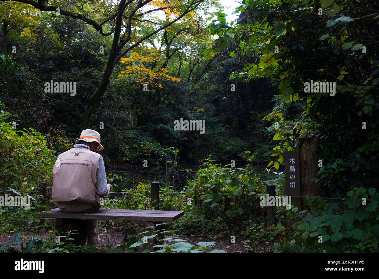 A visit to the Institute For Nature Study in Tokyo, Japan. It is an ...