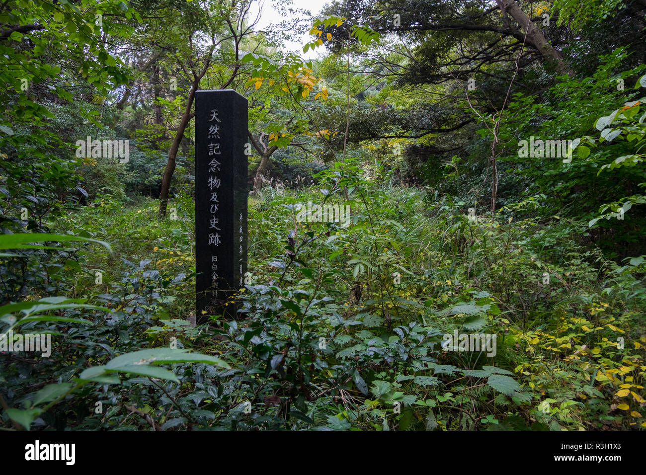 A visit to the Institute For Nature Study in Tokyo, Japan. It is an ...