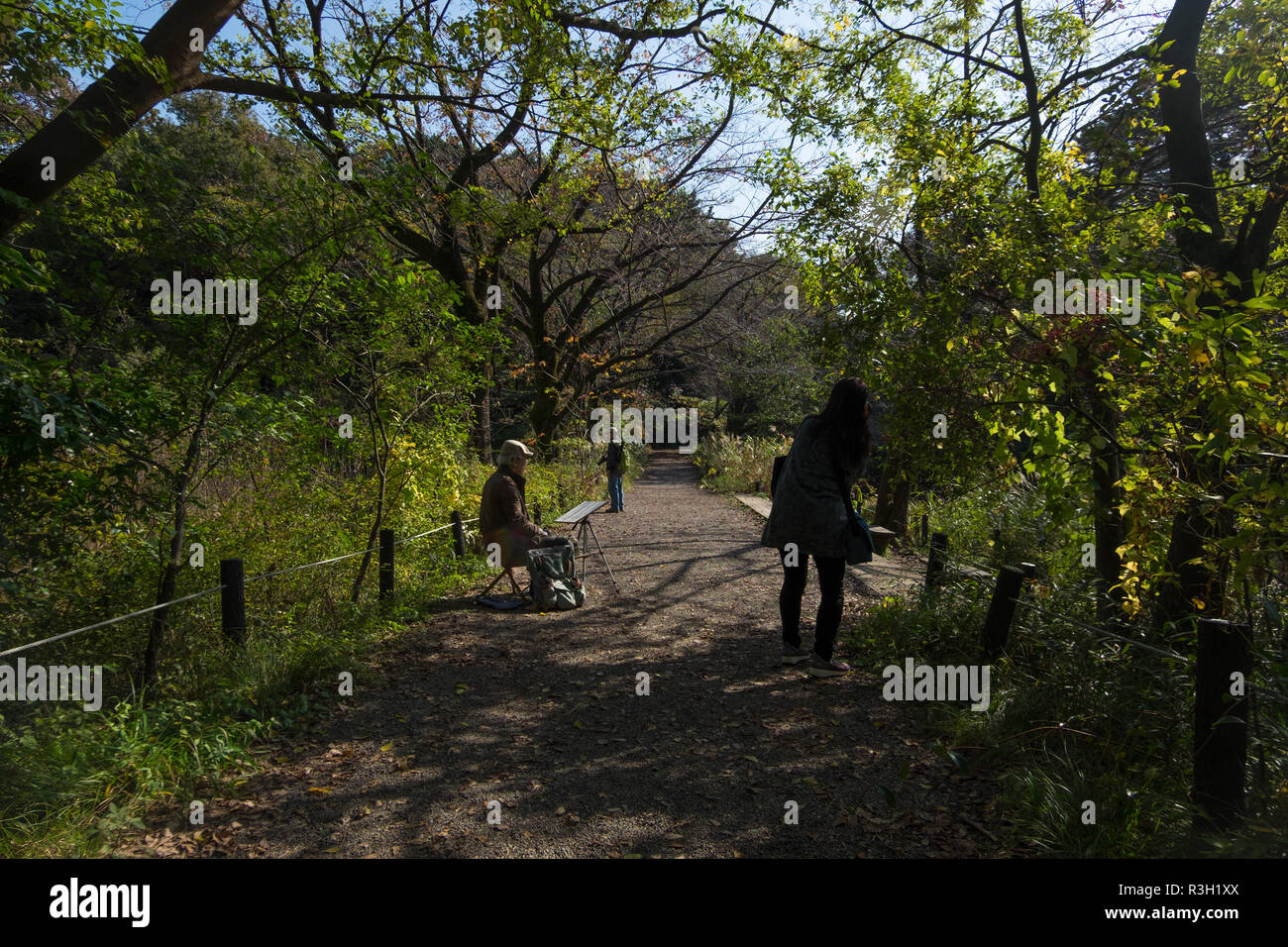 A visit to the Institute For Nature Study in Tokyo, Japan. It is an ...
