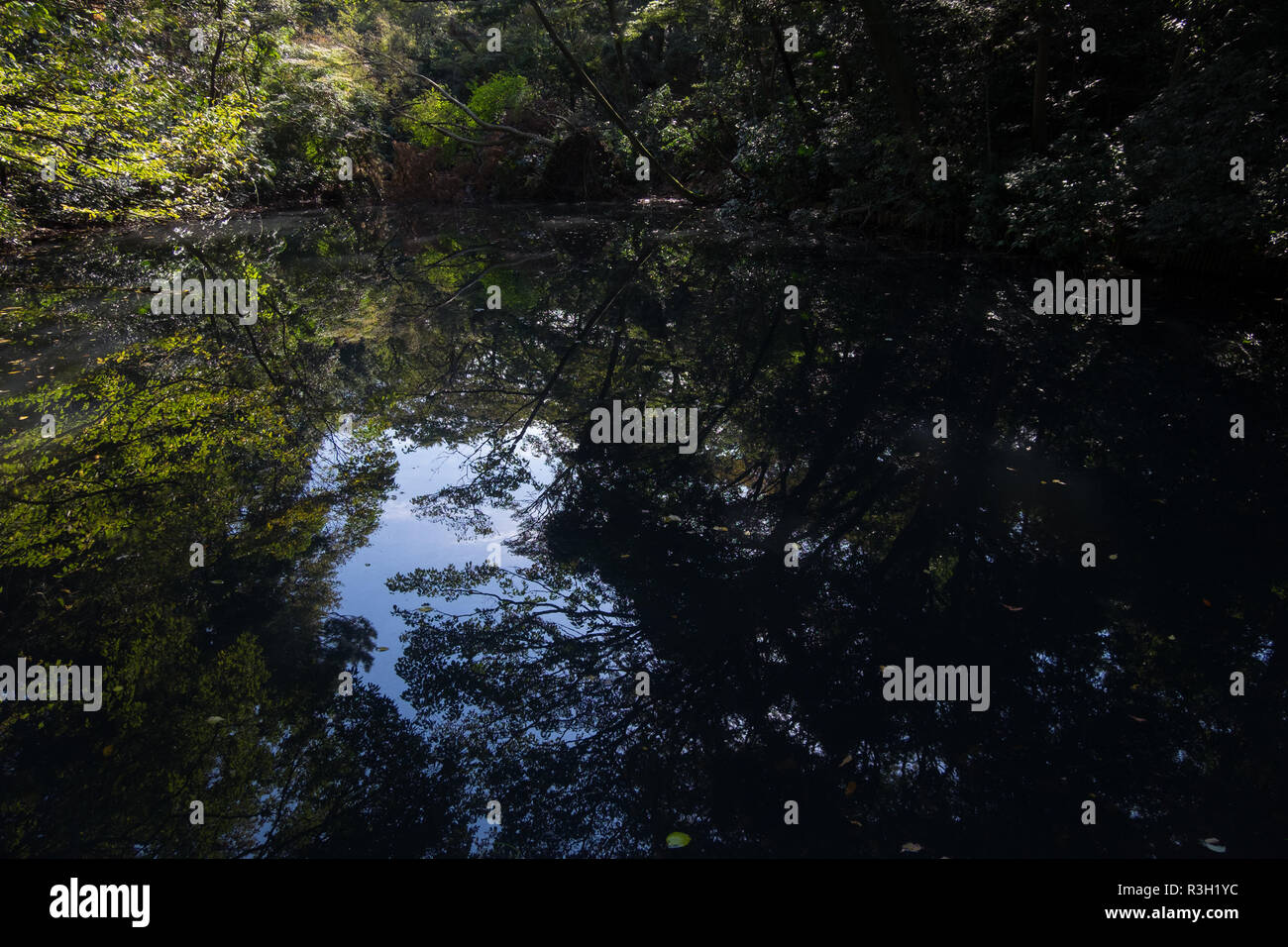 A visit to the Institute For Nature Study in Tokyo, Japan. It is an ...